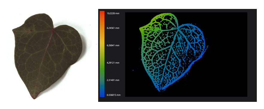 DataPlenoptic/ Exportación de archivos