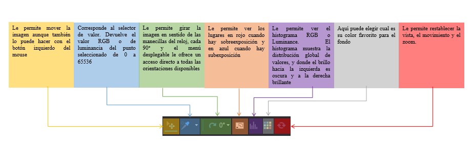 DataPlenoptic/ Uso RxLive